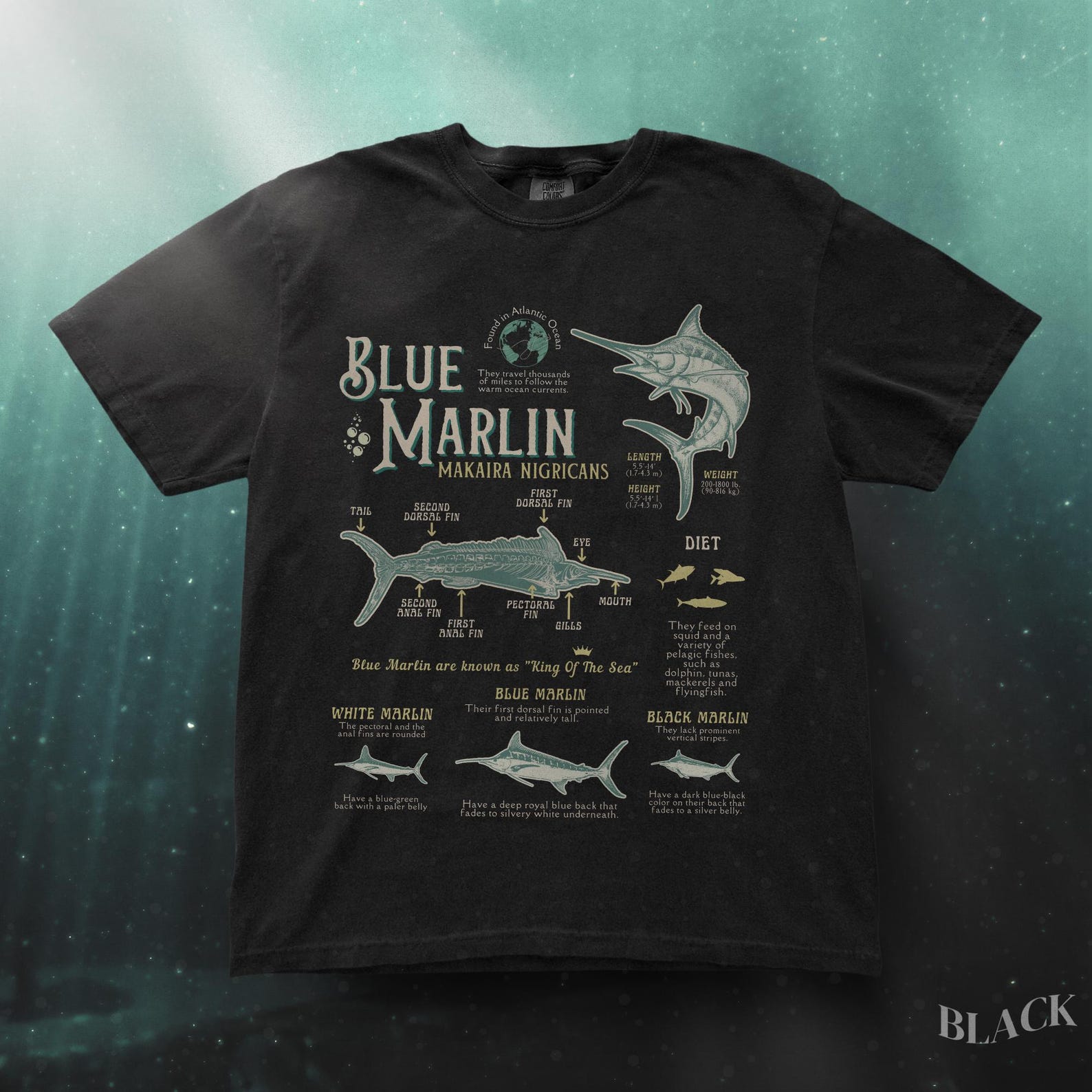 Retro Blue Marlin Anatomy T-shirt | Deep Sea Fishing Tshirt, Unique ...
