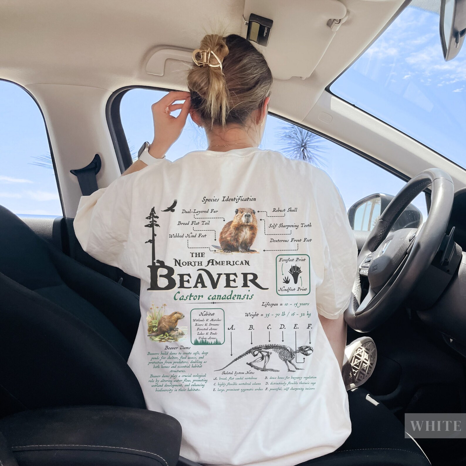 Retro North American Beaver Anatomy Tshirt | Vintage 90s Y2K Wildlife ...