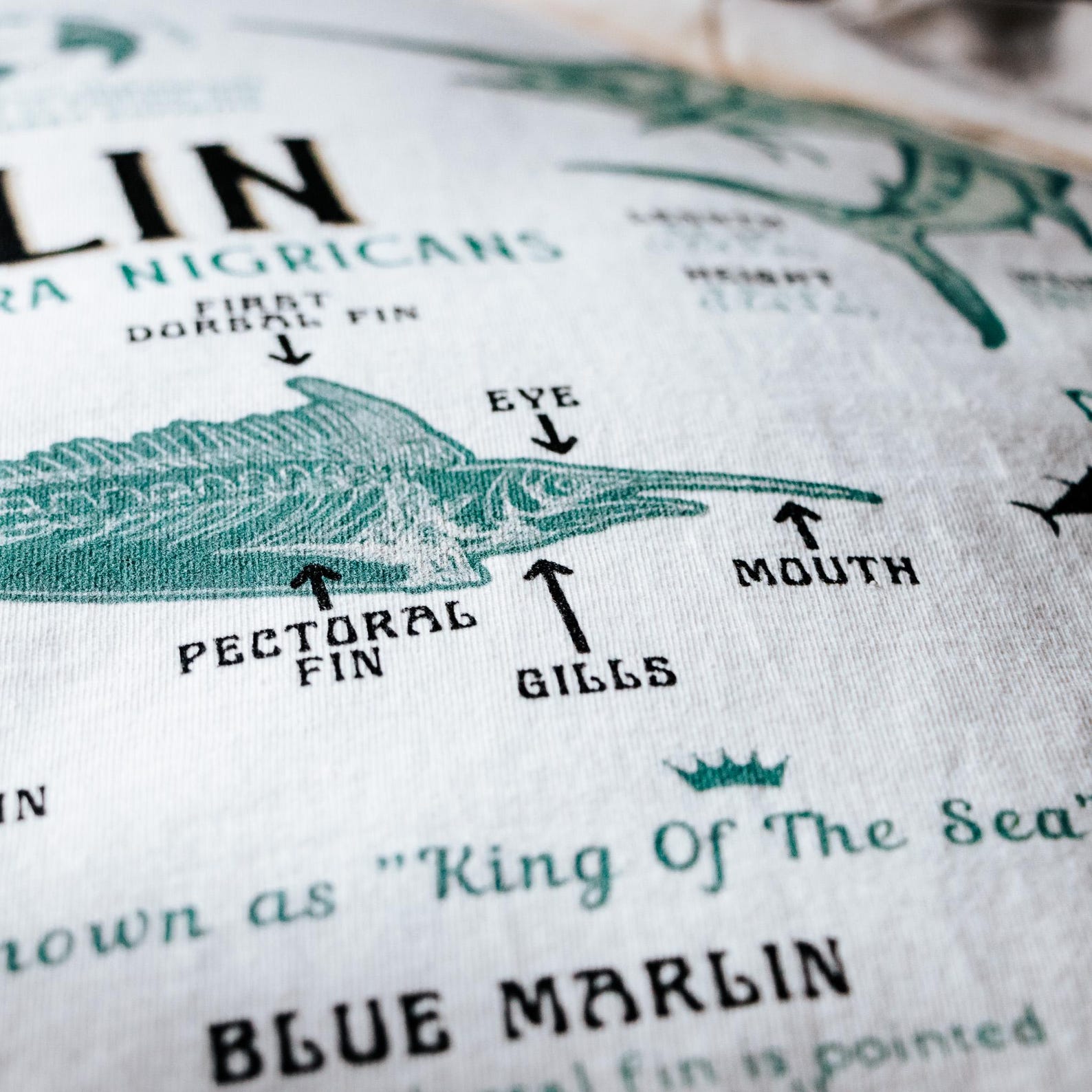 Retro Blue Marlin Anatomy T-shirt | Deep Sea Fishing Tshirt, Unique ...