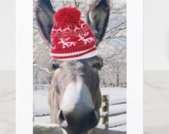 Donkey Note Cards - Etsy