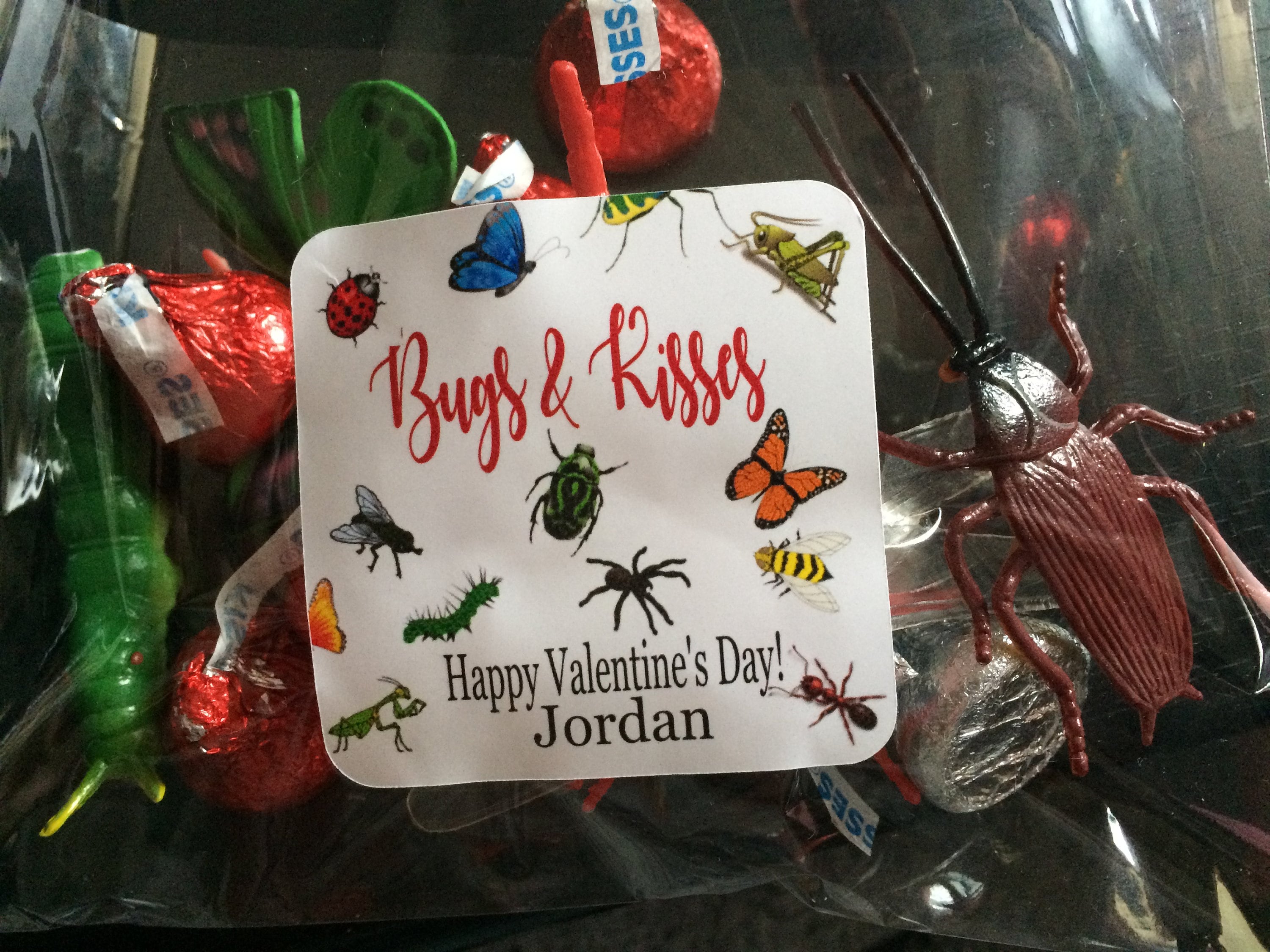 Bugs & Kisses Valentine Stickers or Labels Love Bug - Etsy