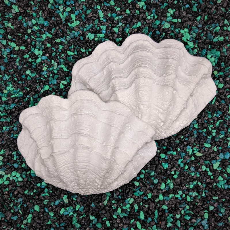 Mermaid Sea Shell Bra - Etsy