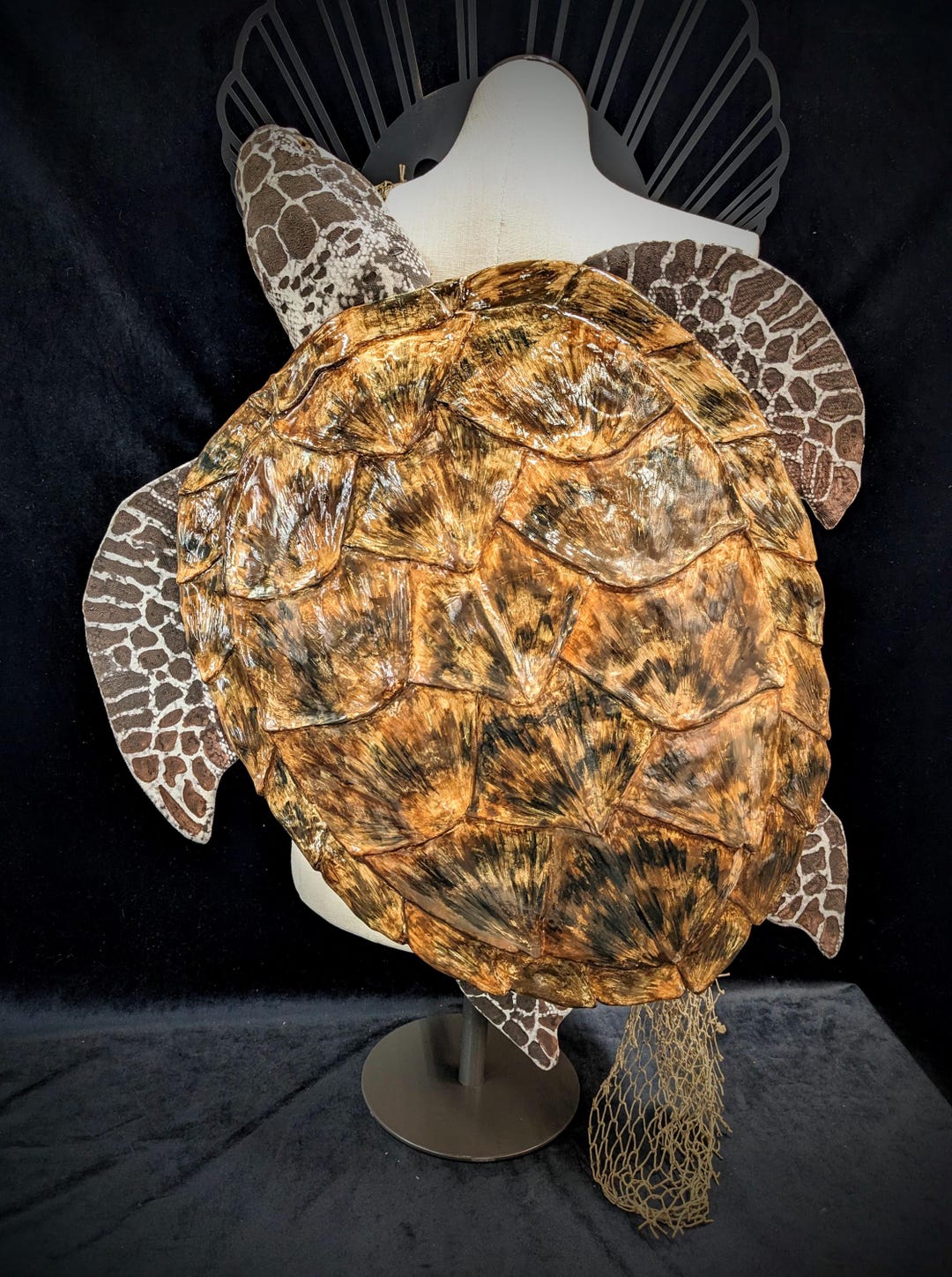 Sea Turtle Shell - Extra Large Turtle Shell - Etsy