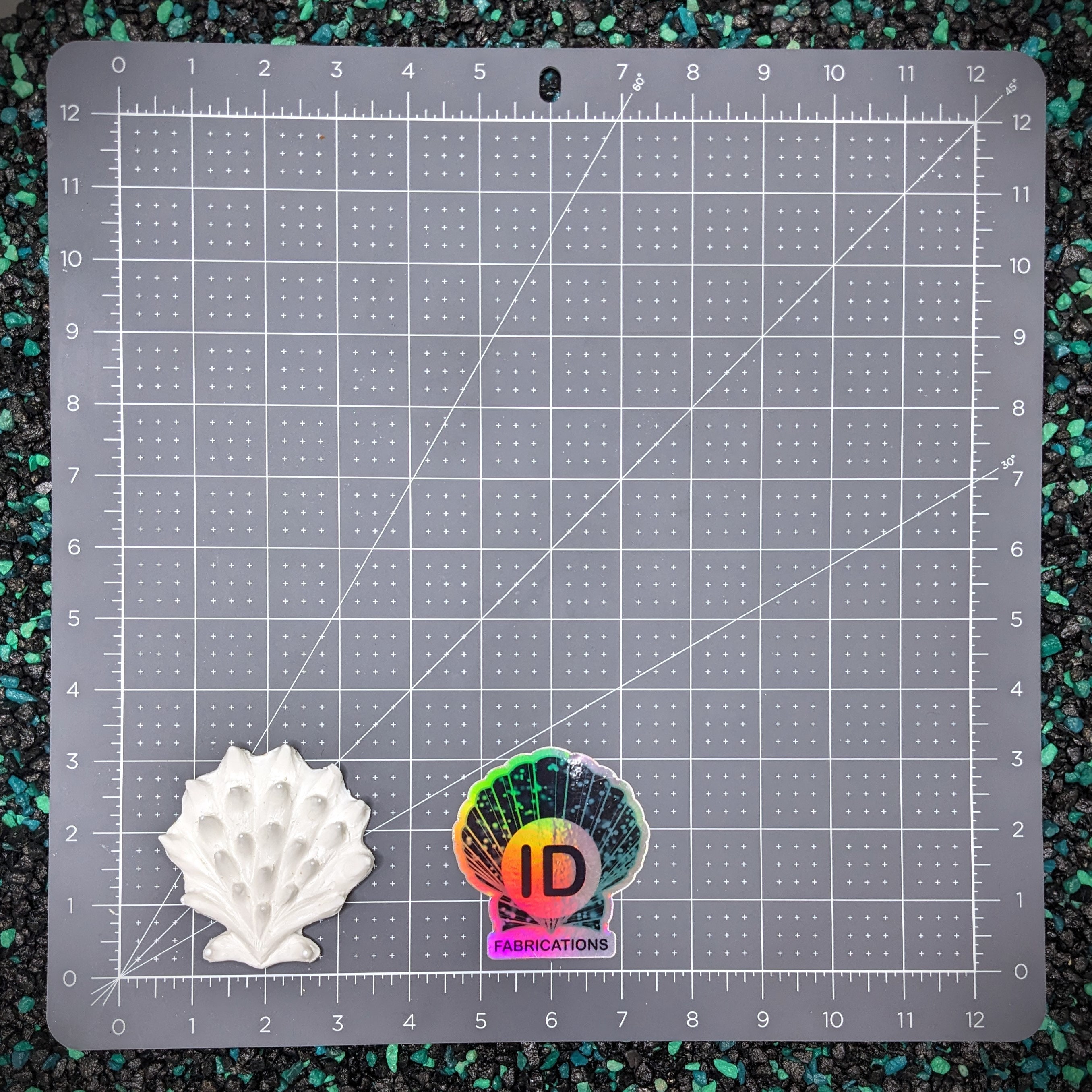 Small Spiny Jewel Box Shell Set - Etsy