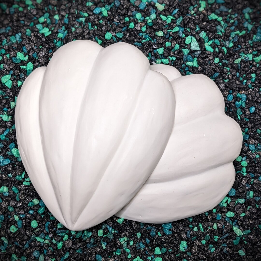 Large Cartoon Shell Set - Etsy