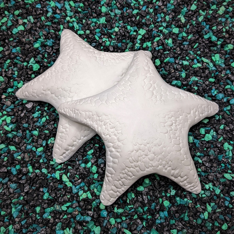 Painted Starfish - Etsy