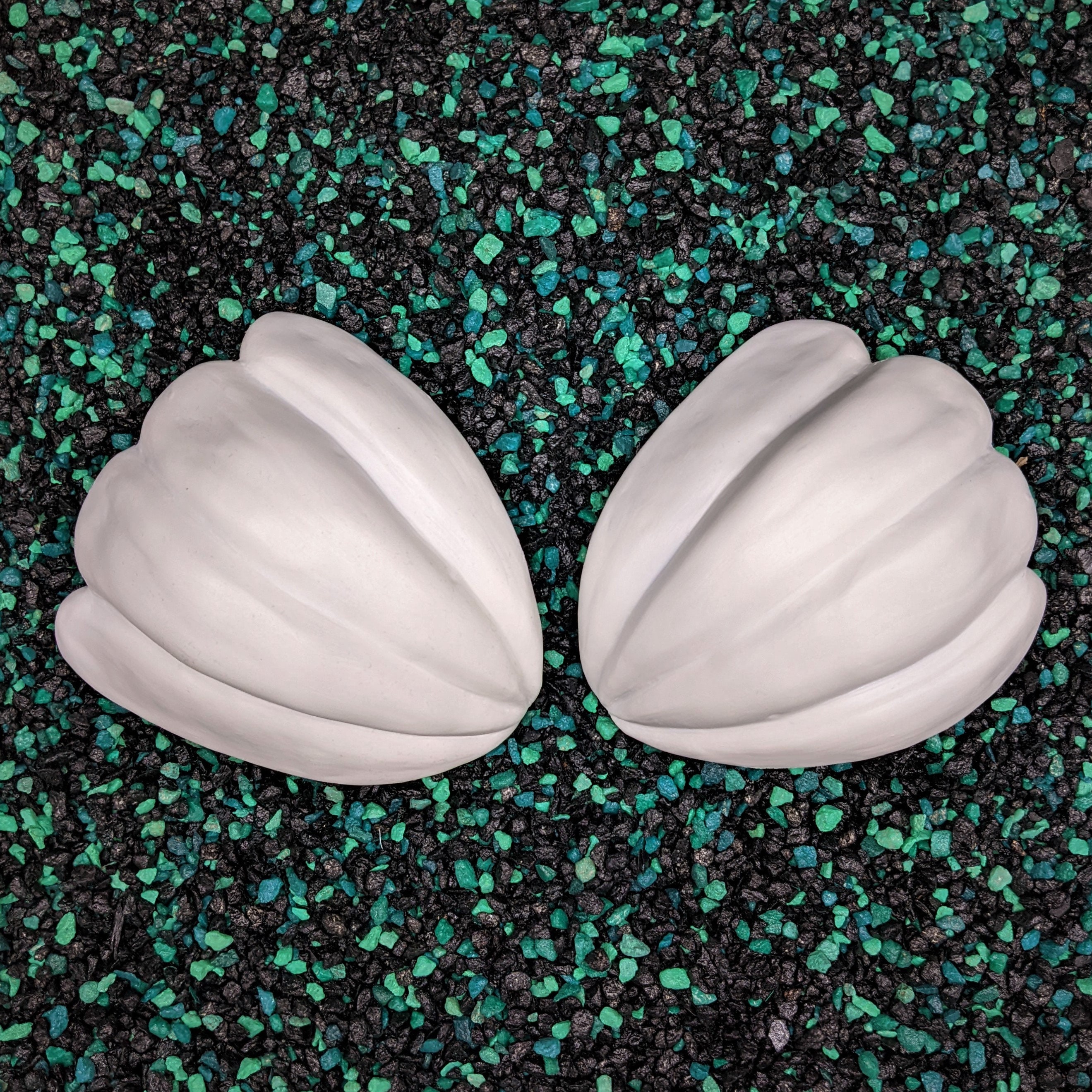 Cartoon Shell Set - Etsy