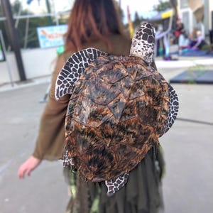 Sea Turtle Shell - Extra Large Turtle Shell - Etsy