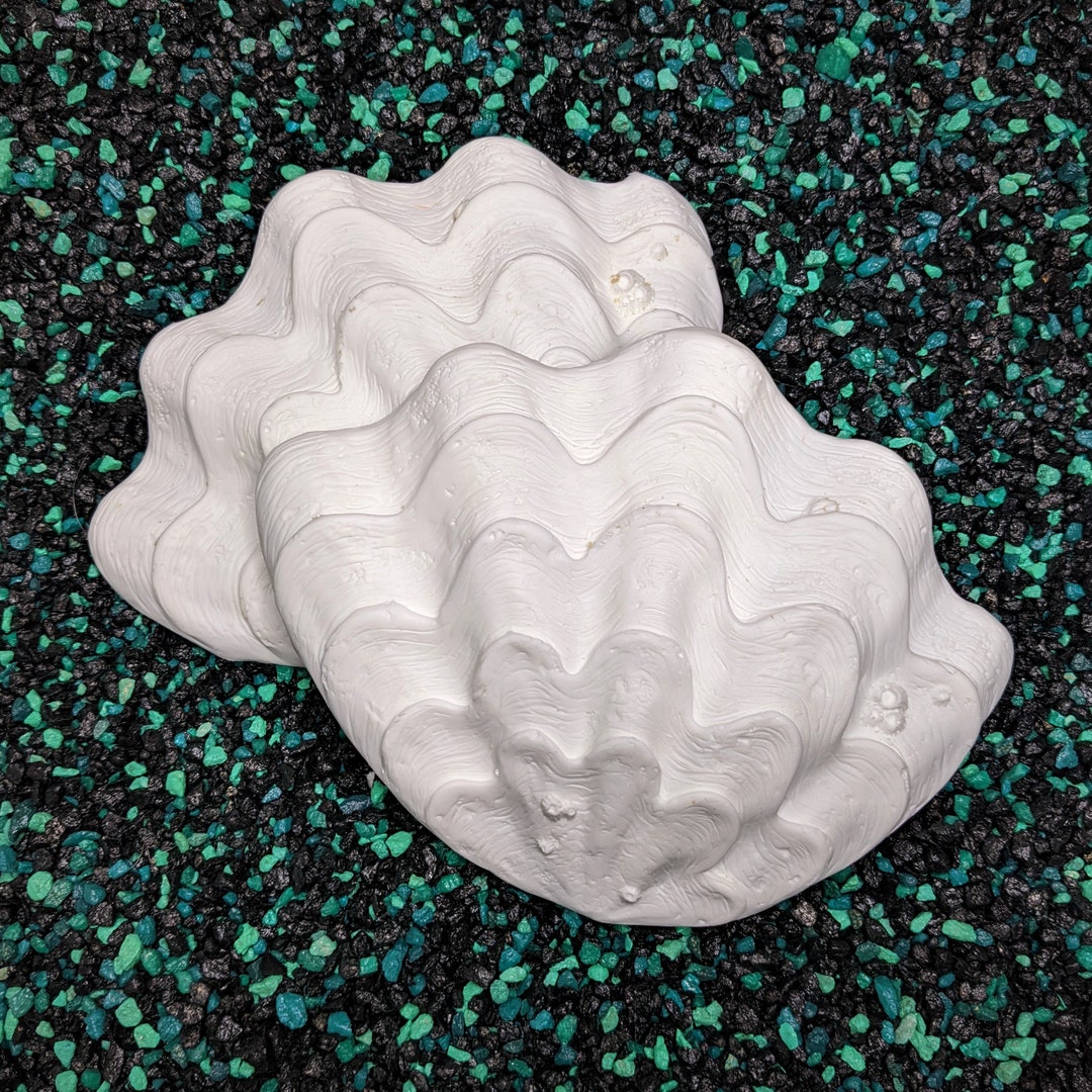 Deep Sea Clam Shell Set - Etsy