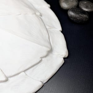 Sea Turtle Shell - Extra Large Turtle Shell - Etsy