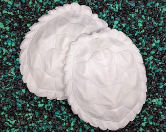 10 to 11 River Cooter Turtle Shell 1077-1011 10UB - Etsy