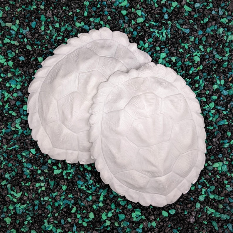 Resin Turtle Shell: DIY Mermaid Costume Prop (5.5x7 Inch) - Etsy