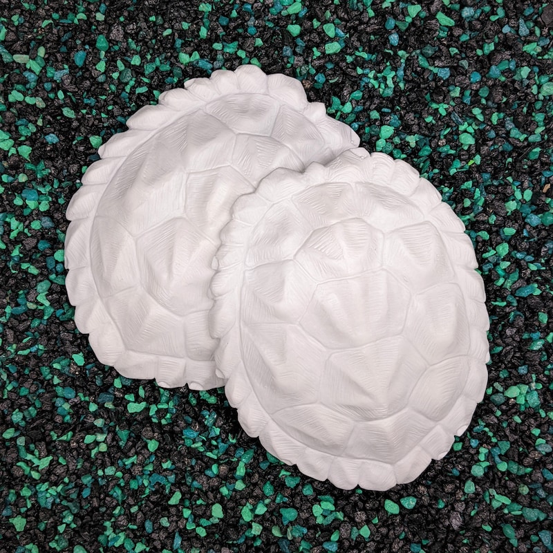 Decorate Turtle Shell - Etsy