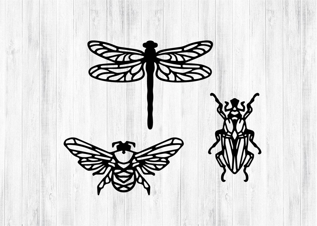 Paquete Svg de insectos, silueta de insectos Svg, corte de archivo de ...