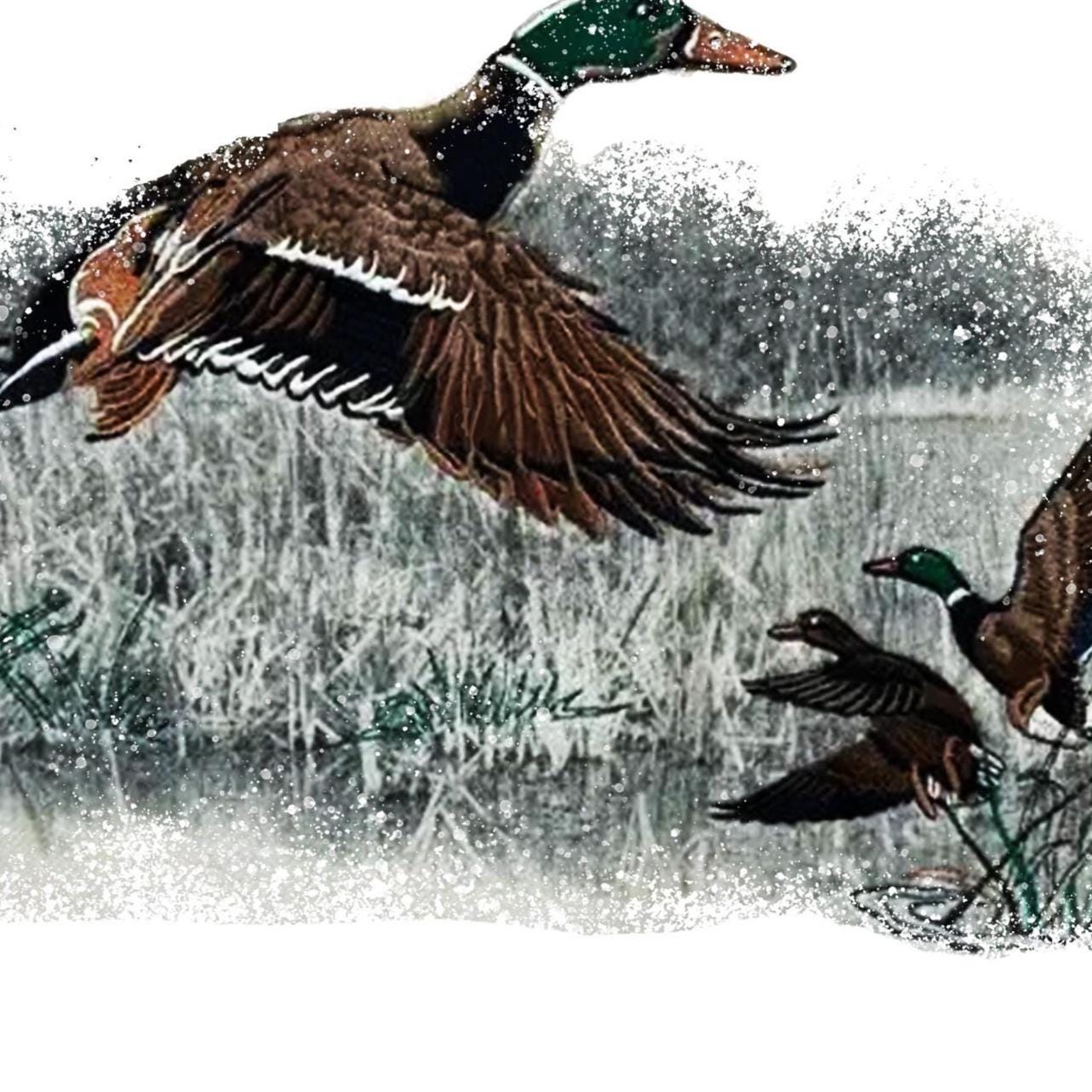 Retro Duck Graphic: Flying Ducks Vintage T-shirt Design (PNG Digital ...