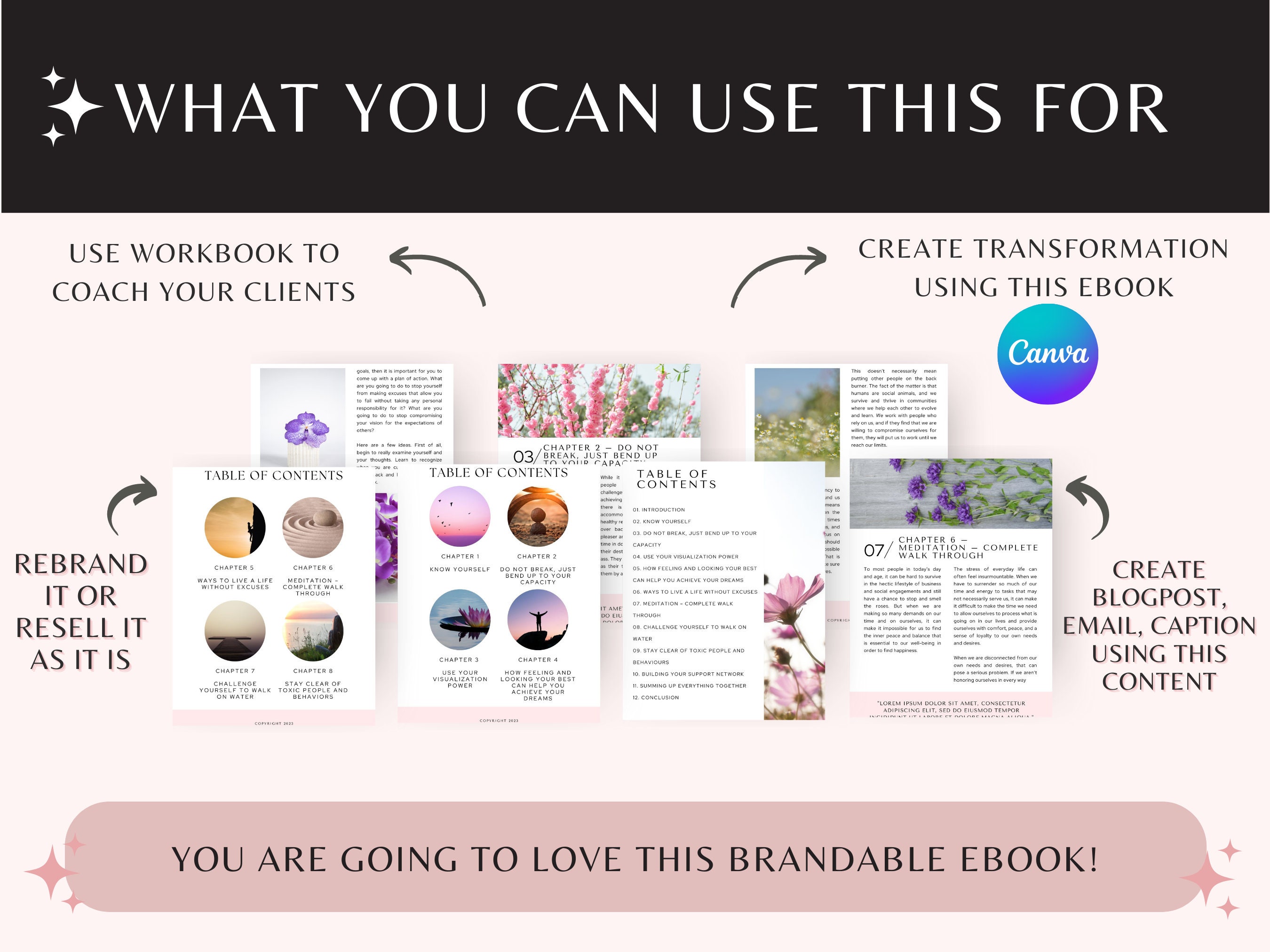 The Destiny Blueprint Done for You Coaching Program for Life Coaches ...