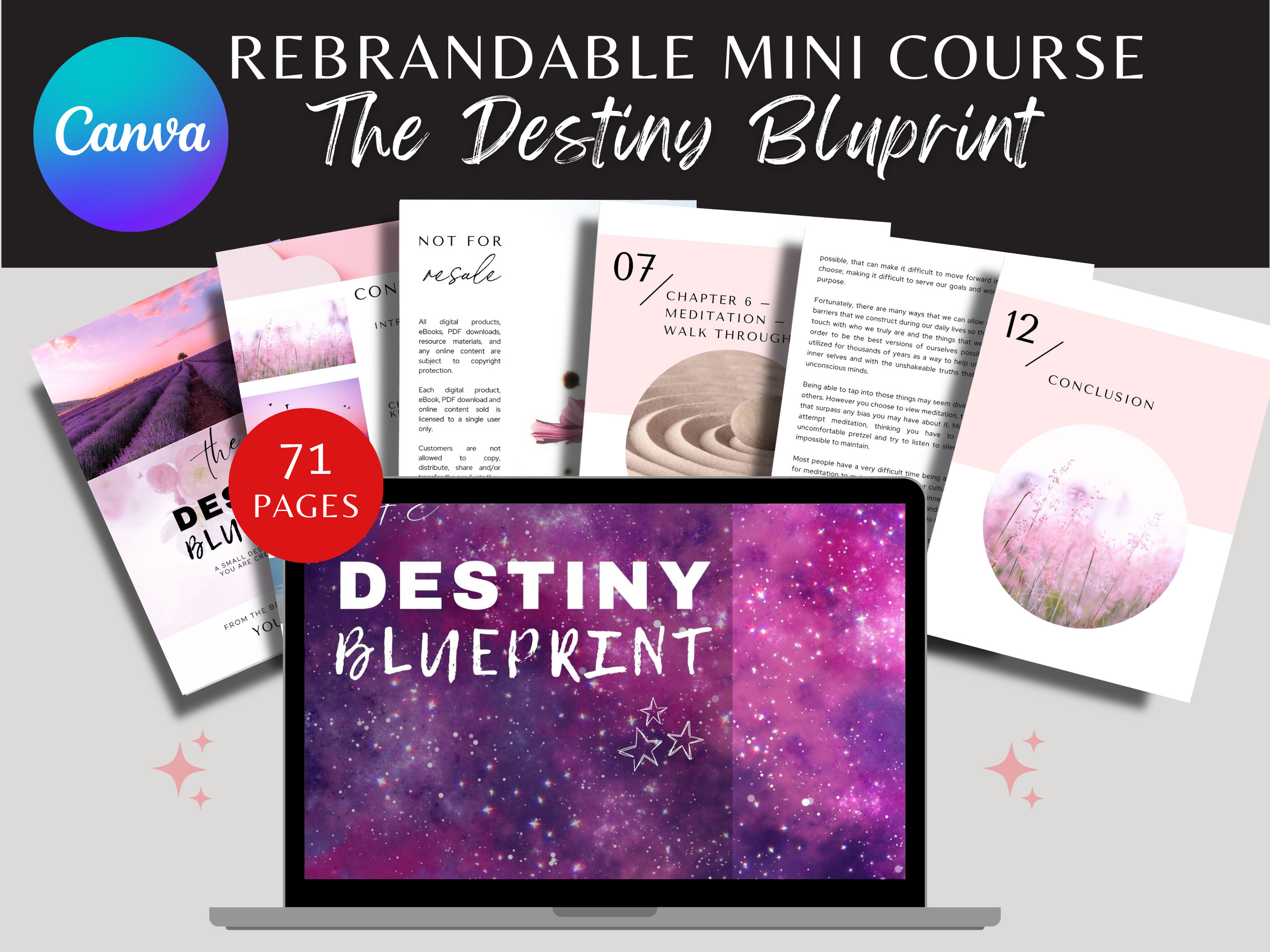 The Destiny Blueprint Done for You Coaching Program for Life Coaches ...