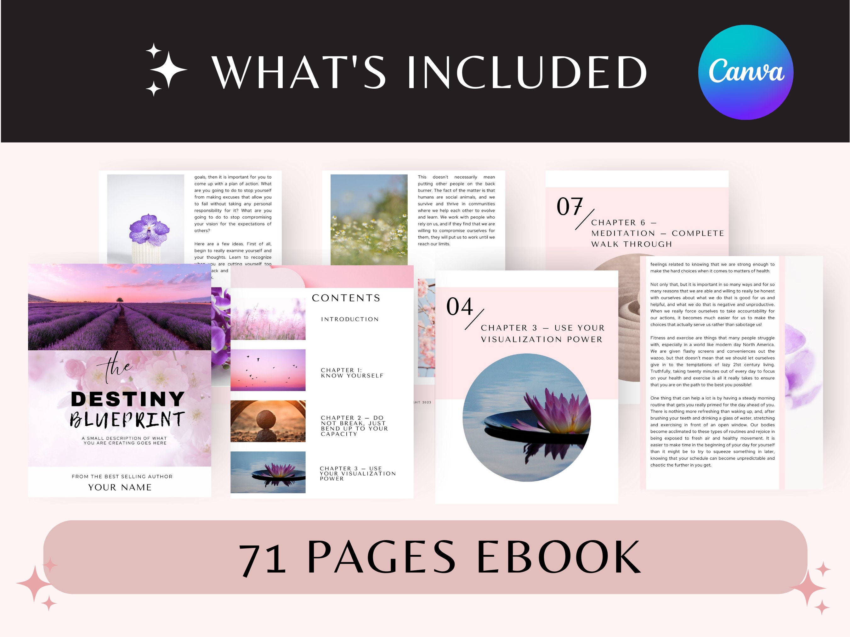 The Destiny Blueprint Done for You Coaching Program for Life Coaches ...