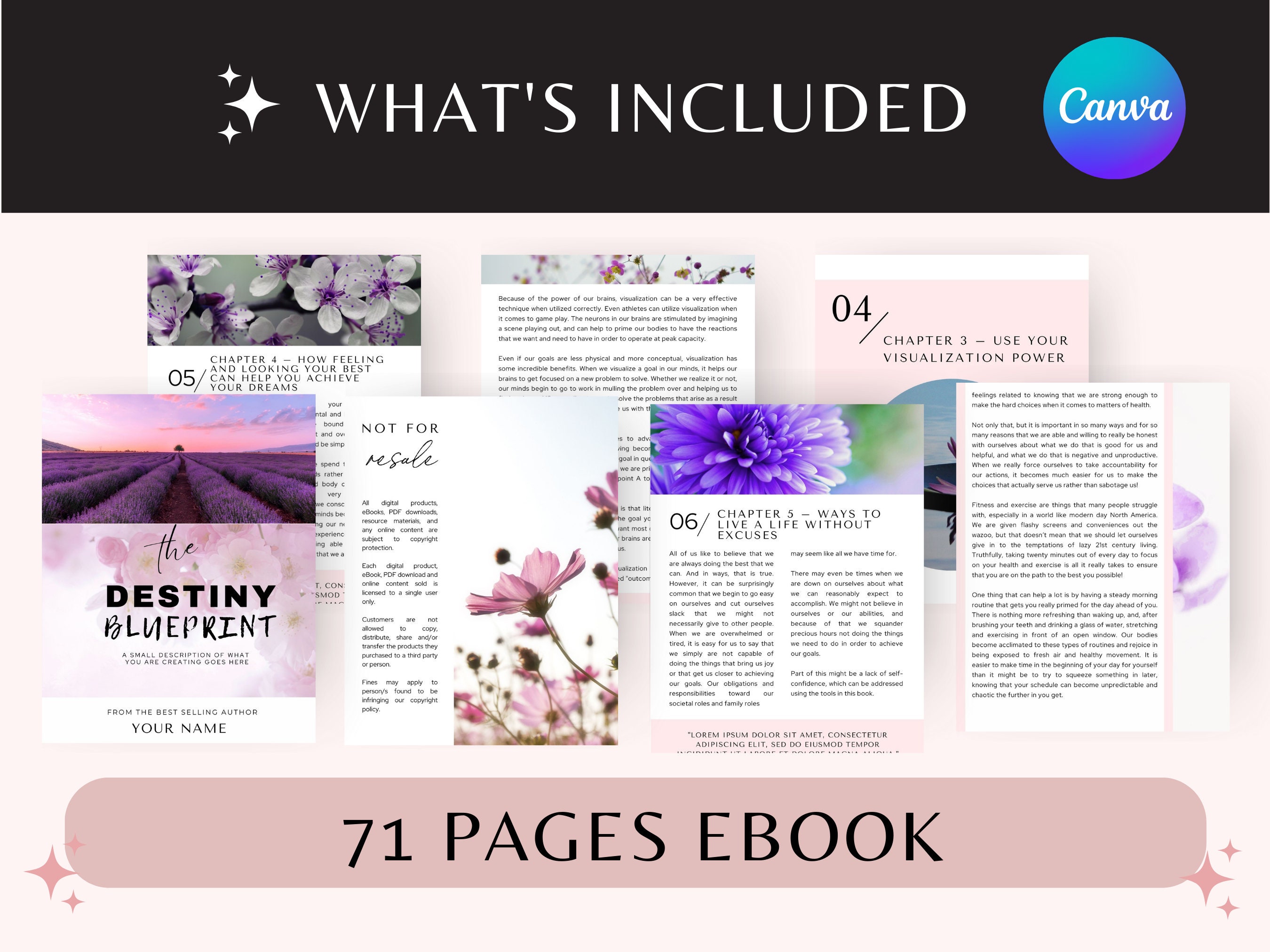 The Destiny Blueprint Done for You Coaching Program for Life Coaches ...