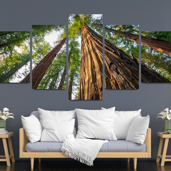 Redwood Tree Art - Etsy