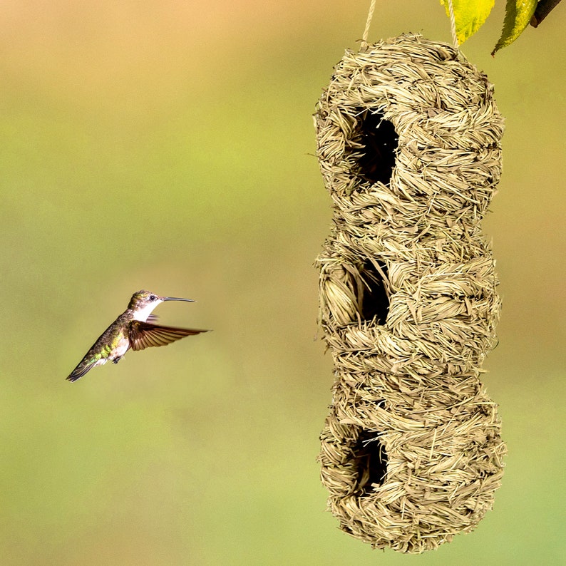 Hand Woven Dry Grass Hummingbird Nest, Triple Entry Birdhouse - Etsy