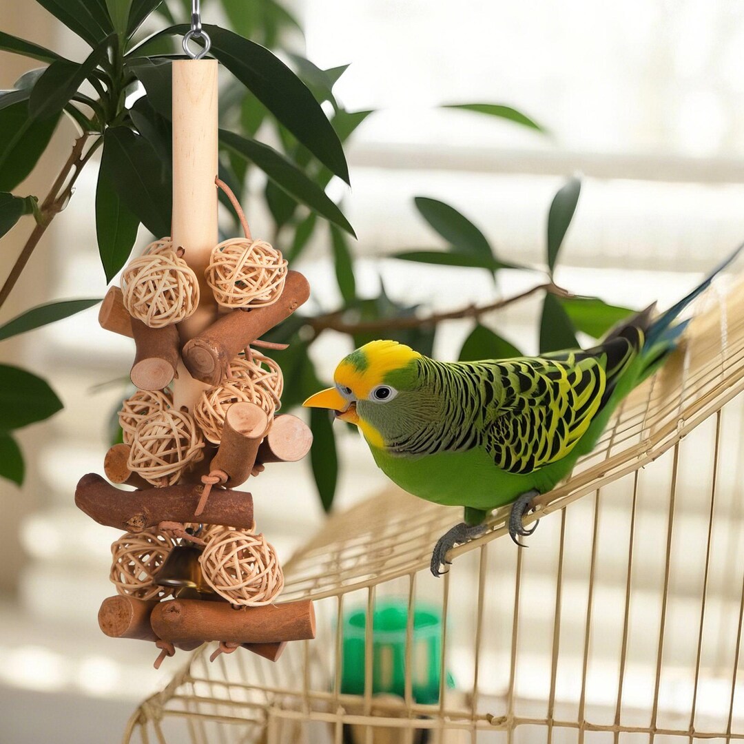 Bird Toys, Parrot Interactive Toy, Toys Bitten by Birds, Wooden Bird ...