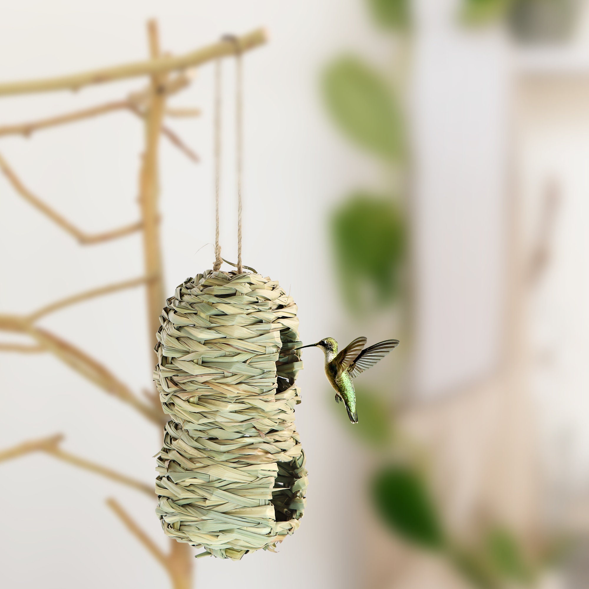 Reed Grass Hummingbird Nest, Double Hole Hummingbird Nest, Hand Woven ...