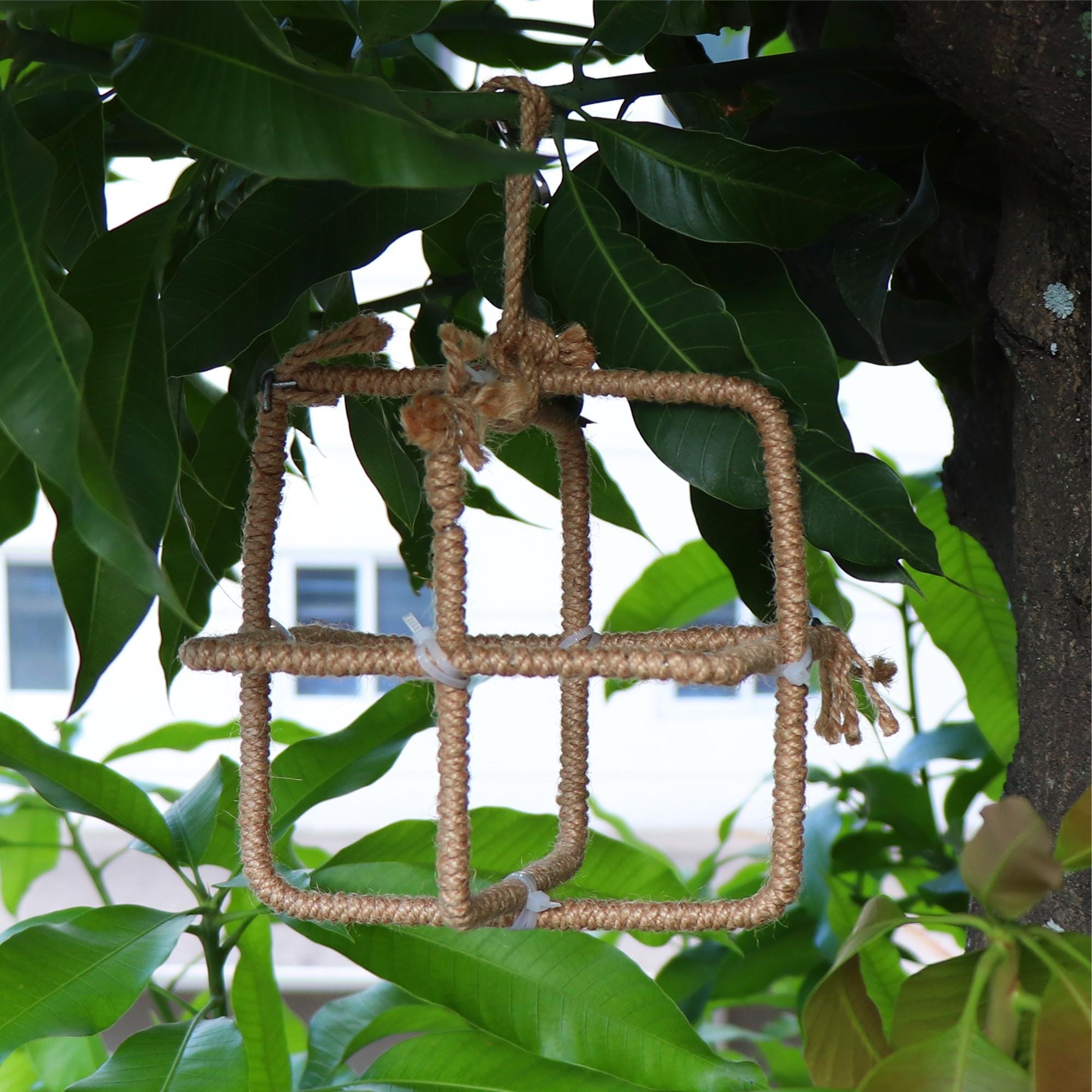 Natural Cotton Rope Bird Swing, Parrot Perch Toy - Etsy
