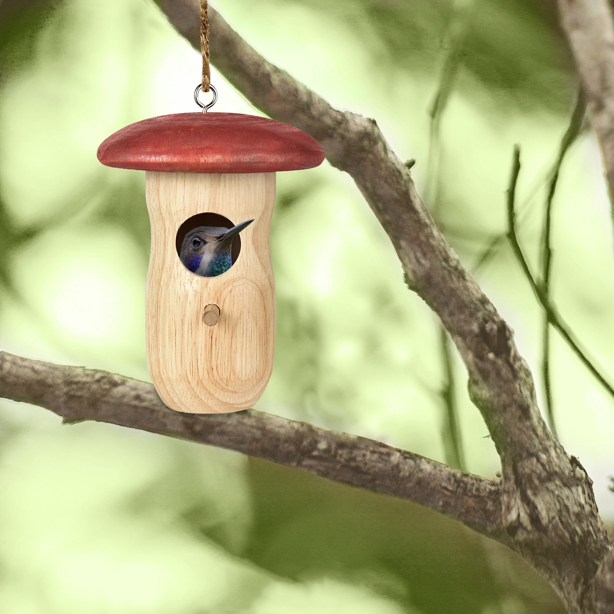 Wooden Bird House, Hummingbird House, Wooden Hummingbird Nest, Hanging ...