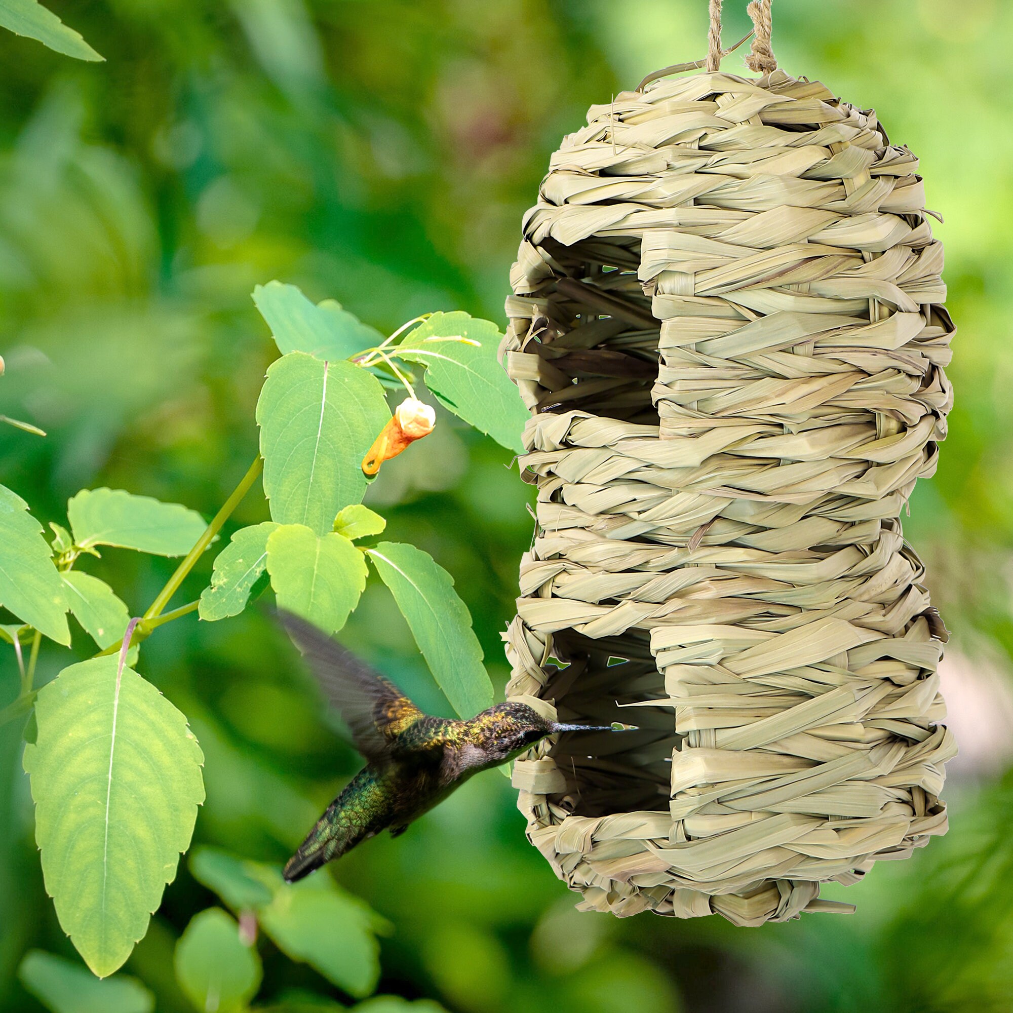 Reed Grass Hummingbird Nest, Double Hole Hummingbird Nest, Hand Woven ...