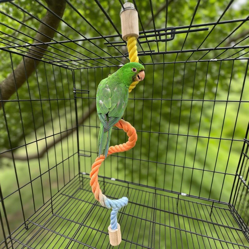 Parrot Climbing Rope Swing, Bird Cage Toy - Etsy