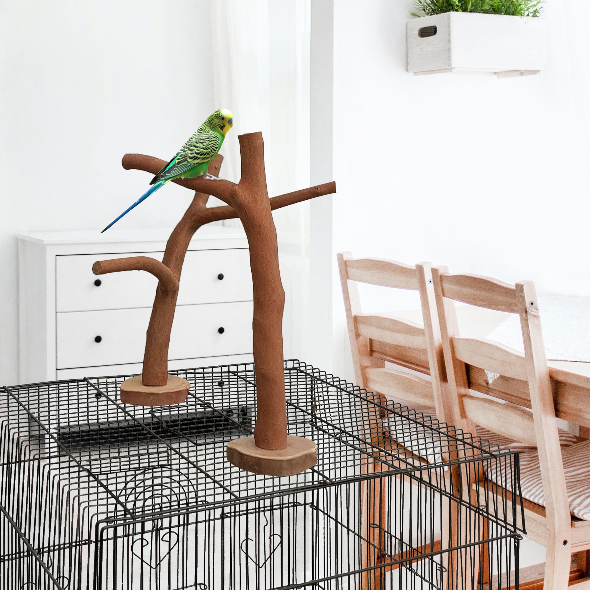 Parrot Perches, Parrot Stand,natural Bird Perches, Bird Cage Perches ...