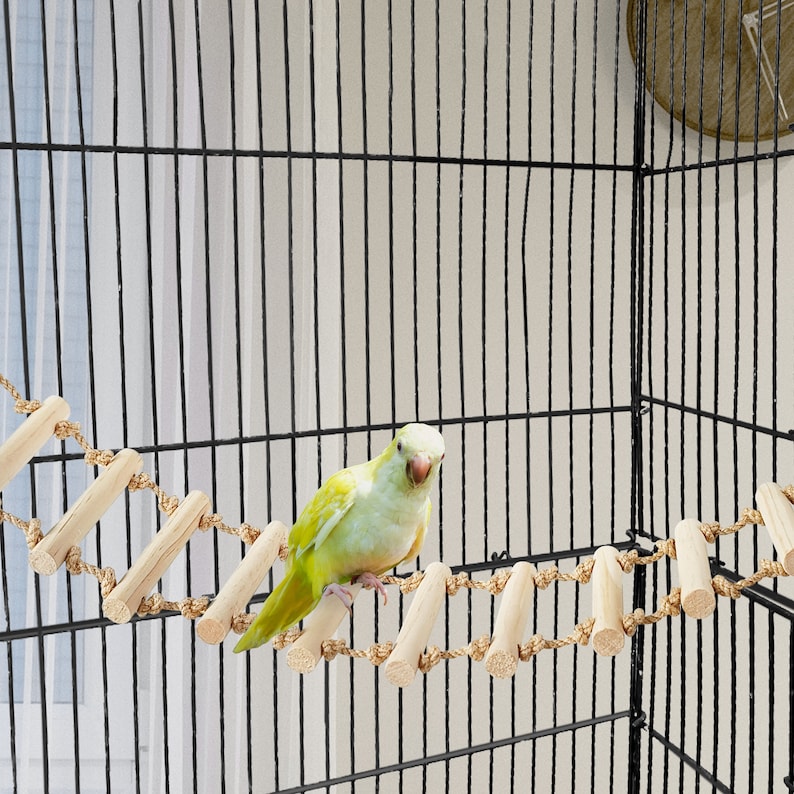 Natural Wooden Bird Ladders, Bird Rope Ladder, Bird Rope Bridge, Bird ...