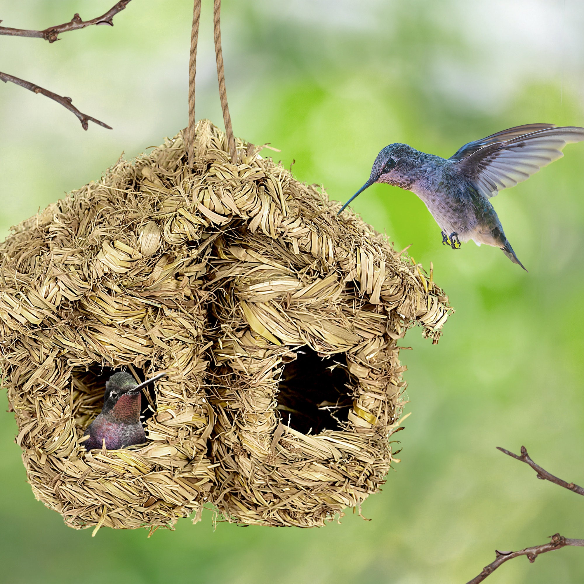 Dry Grass Hummingbird Nest Double Hole Hummingbird Nest Hand Woven Hummingbird Nest Bird House for Hummingbird Etsy