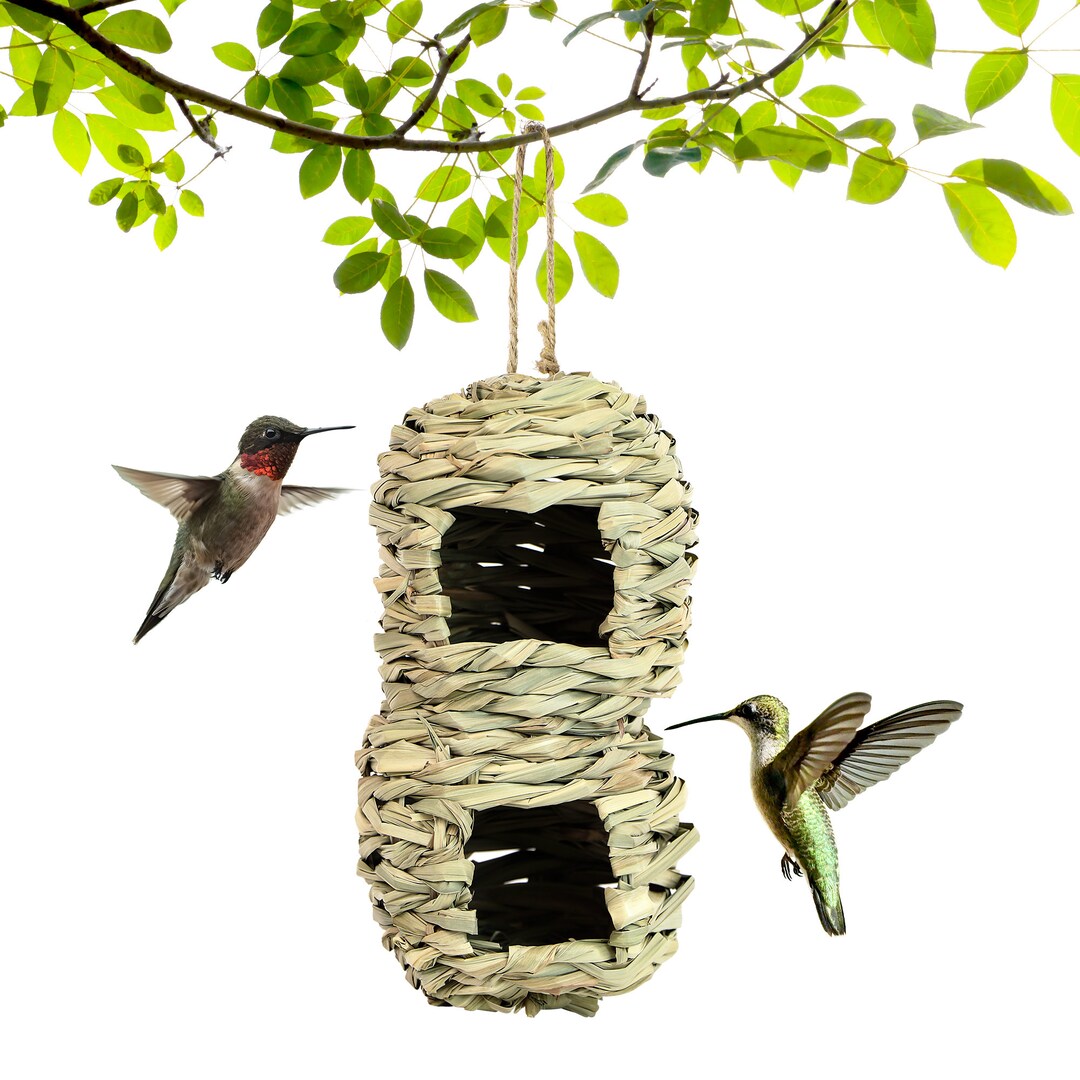 Reed Grass Hummingbird Nest, Double Hole Hummingbird Nest, Hand Woven ...