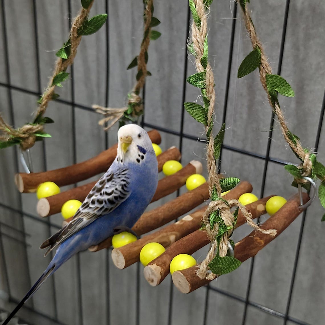 Parrot Swing, Bird Swing, Natural Wooden Bird Swing, Parrot Bridge ...