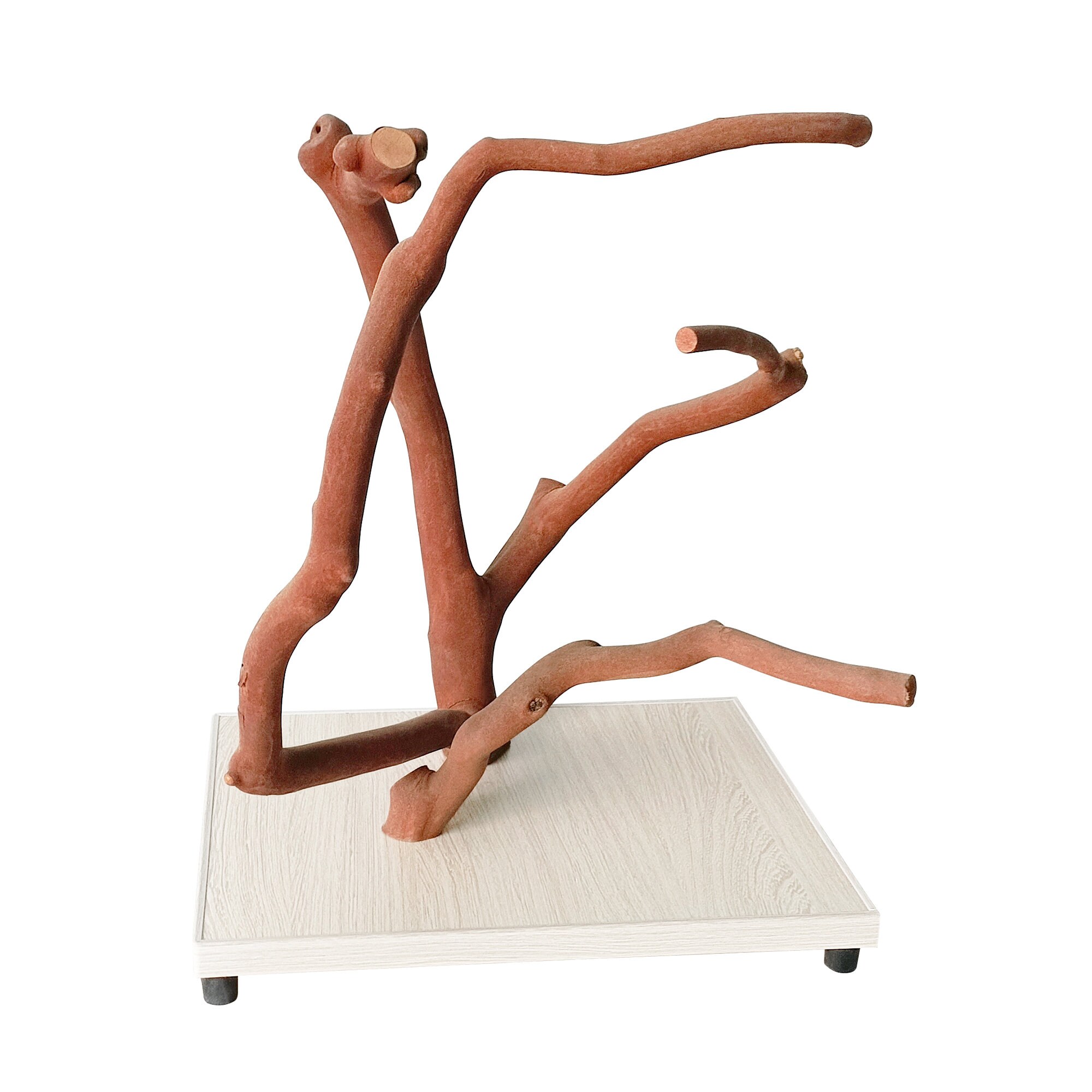 Parrot Stand, Bird Stand, Natural Bird Perches, Parrot Perches, Parrot ...