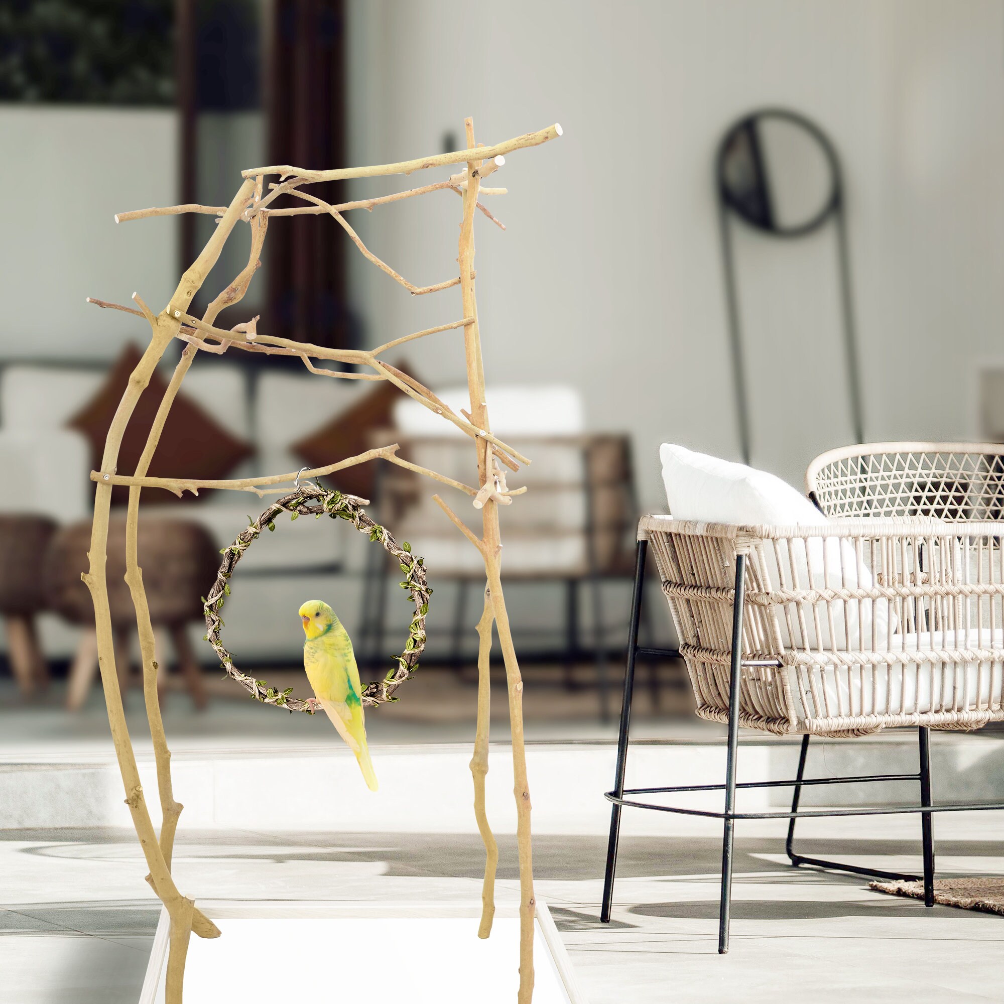 Rattan Bird Swing, Parrot Hanging Swing, Bird Toys, Parrot Swing Perch ...