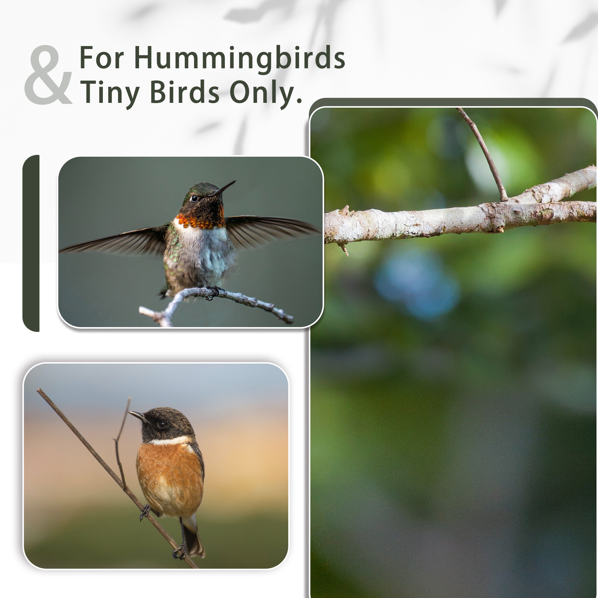 Dry Grass Hummingbird Nest, Double Hole Hummingbird Nest, Hand Woven ...