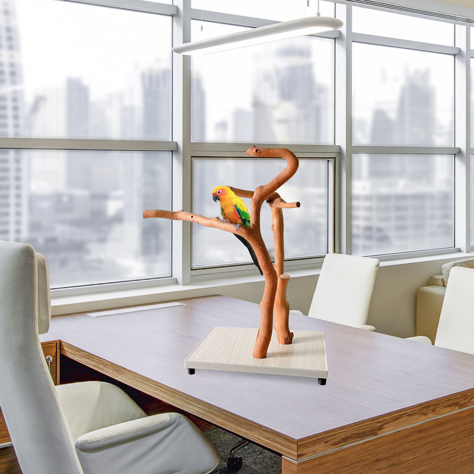Parrot Stand, Natural Bird Perches, Parrot Perches, Parrot Playstand ...