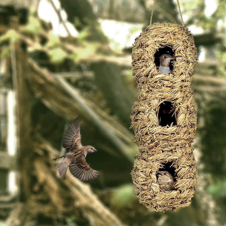 Dry Grass Hummingbird Nest, Triple Hole Hummingbird Nest, Hand Woven ...