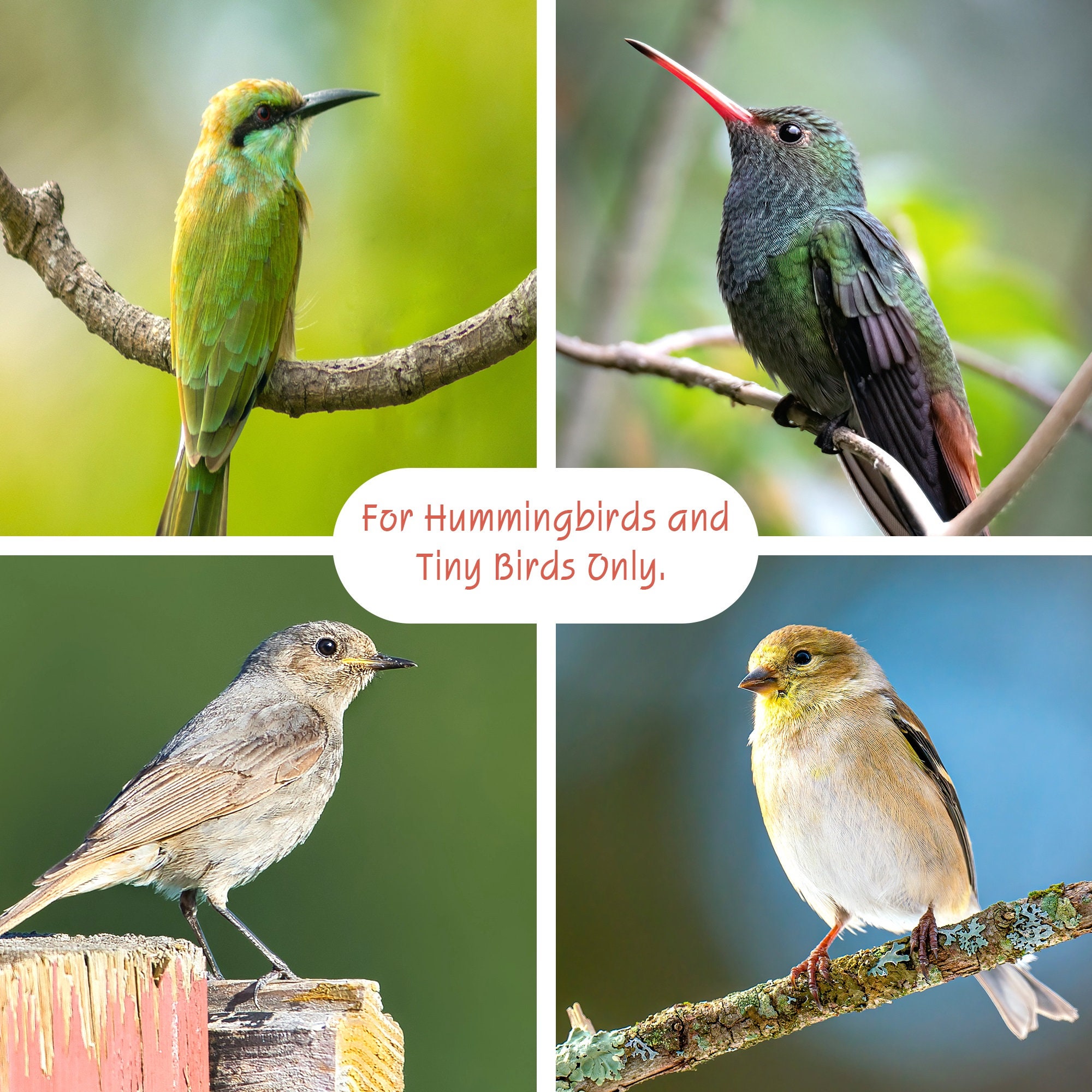 Wooden Bird House, Hummingbird House, Wooden Hummingbird Nest, Hanging ...