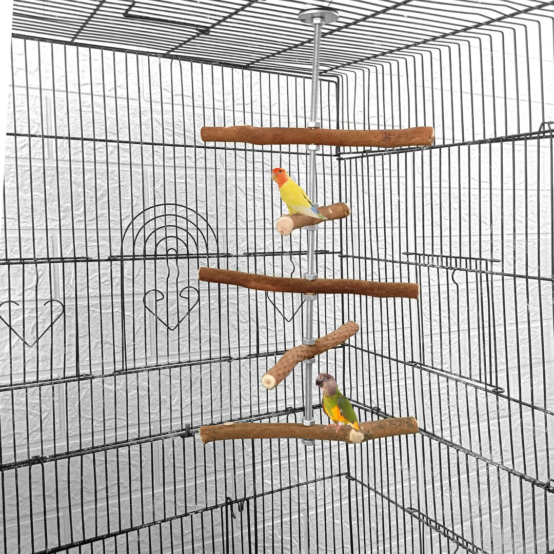 Parrot Cage Stand Frame, Natural Bird Perches, Parrot Stand, Branch ...
