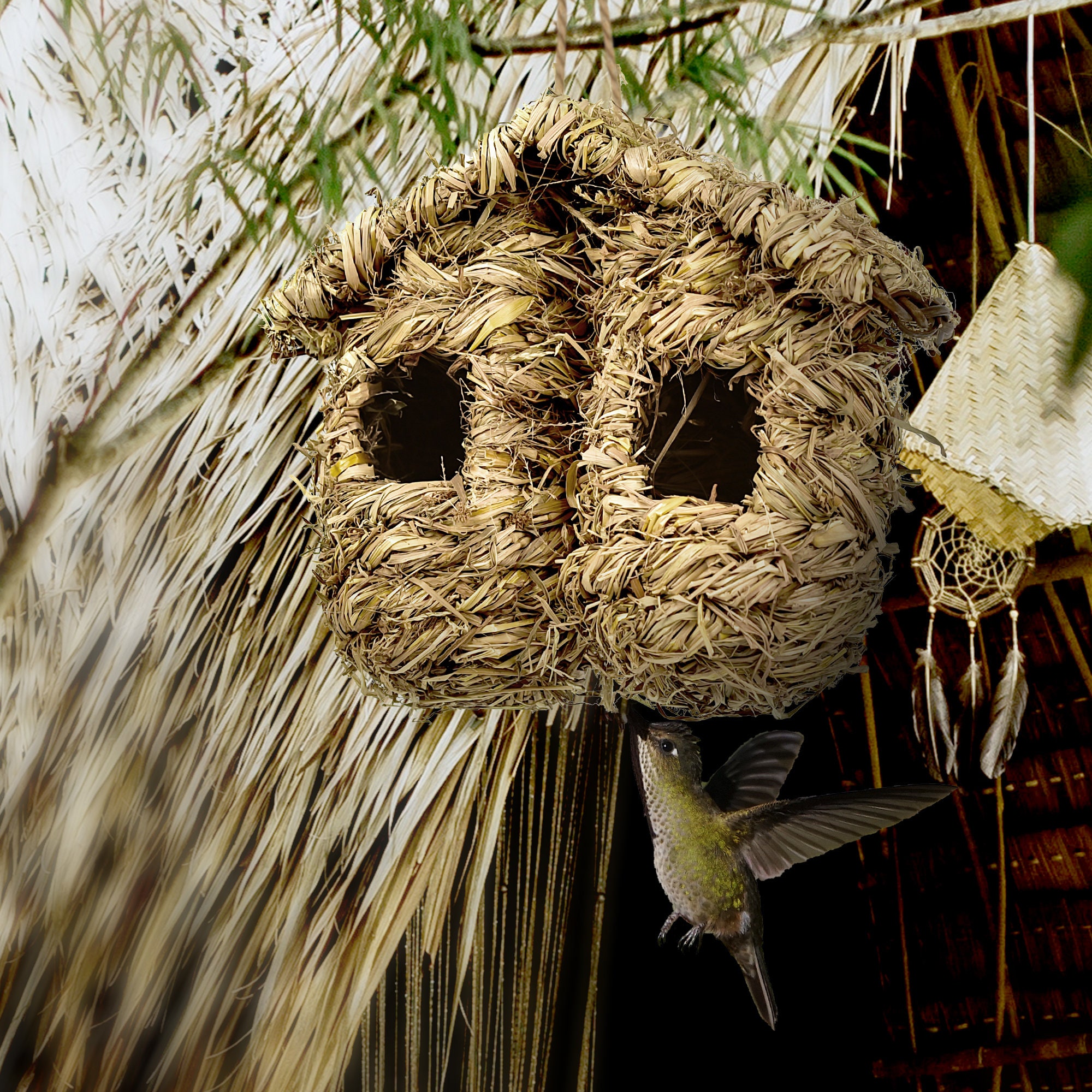 Dry Grass Hummingbird Nest, Double Hole Hummingbird Nest, Hand Woven ...