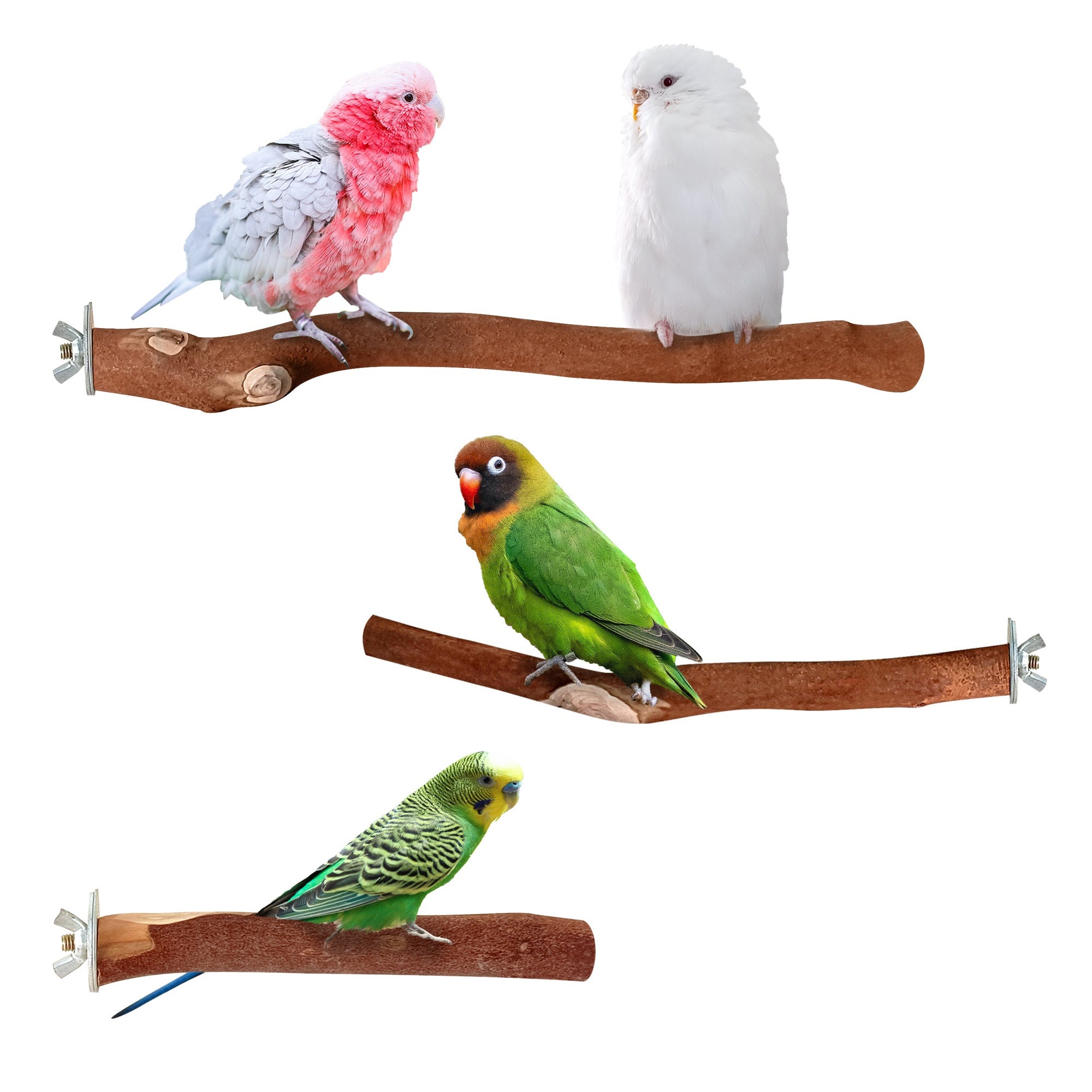Parrot Perches, Natural Bird Perches, Single Perch, Bird Cage Perch ...
