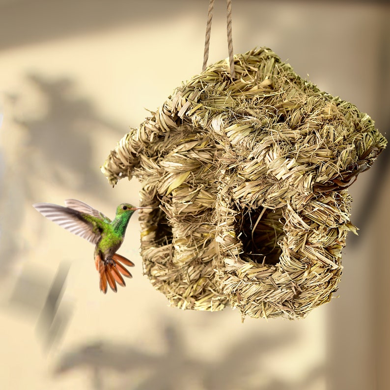 Dry Grass Hummingbird Nest, Double Hole Hummingbird Nest, Hand Woven ...