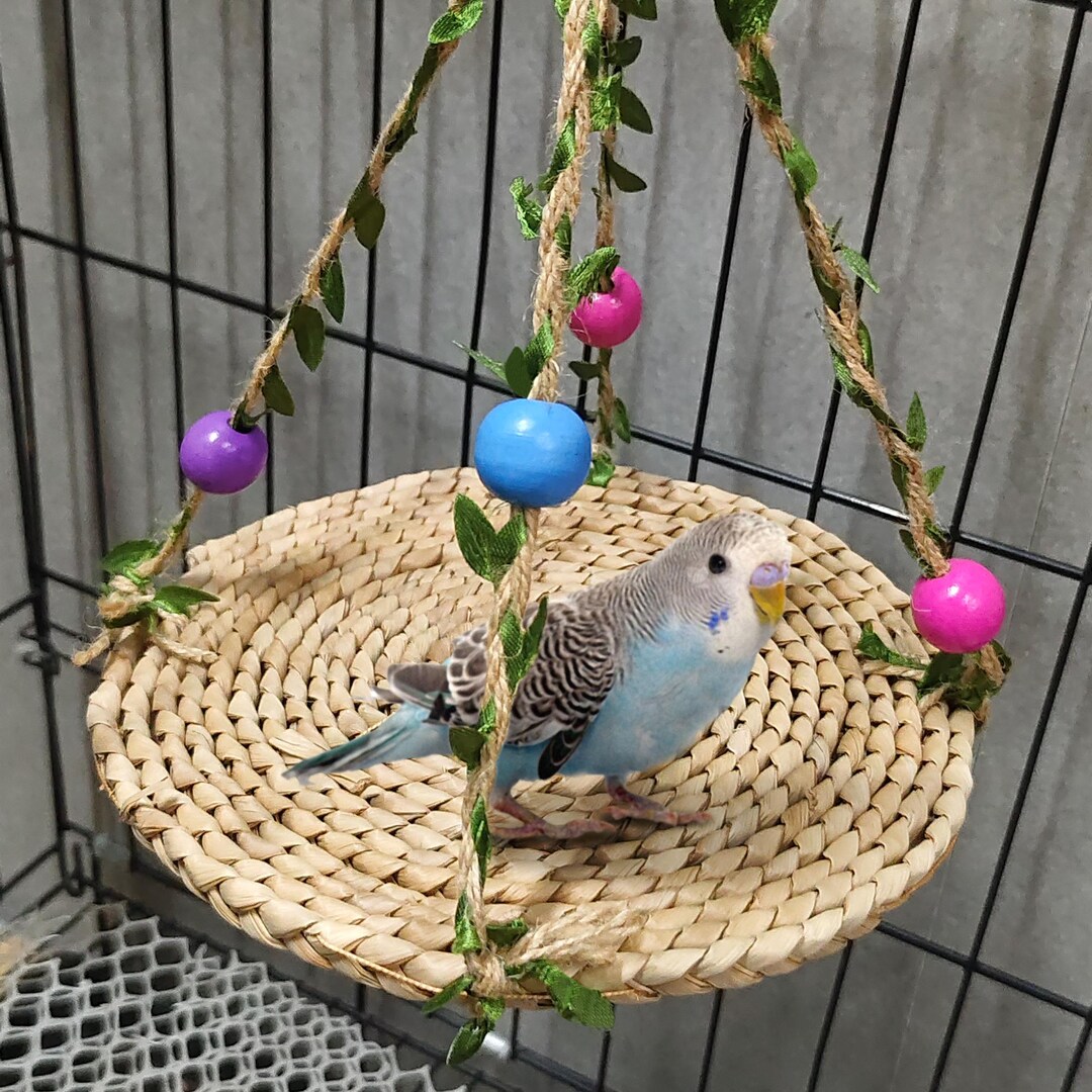 Handmade Aquatic Weed Parrot Swing, Bird Hammock With Beads - Etsy