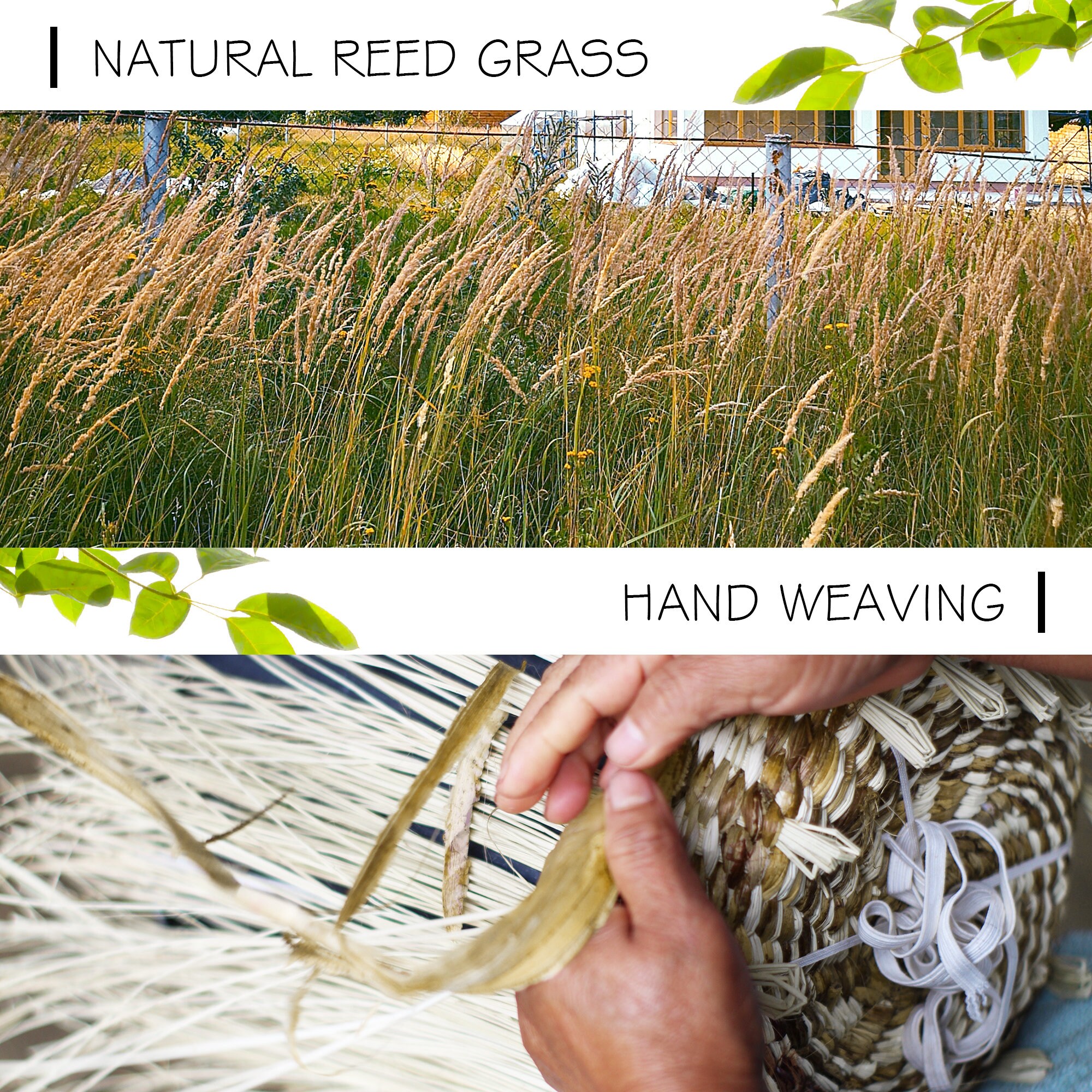 Reed Grass Hummingbird Nest, Double Hole Hummingbird Nest, Hand Woven Hummingbird Nest, Bird ...