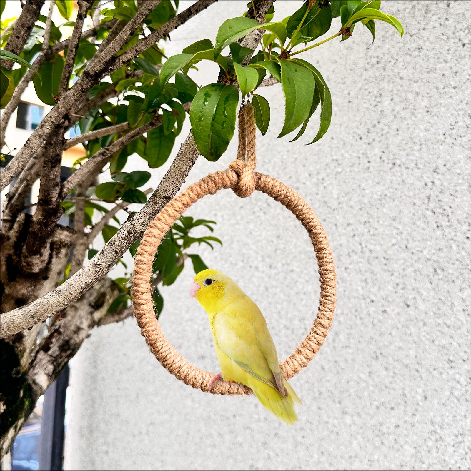 Parrot Rope Swing, Bird Ladder, Round Perch Swing, Cage Climbing Toys ...