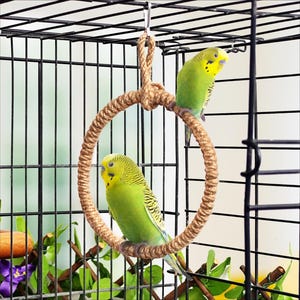 Parrot Rope Swing, Bird Ladder, Round Perch Swing, Cage Climbing Toys ...